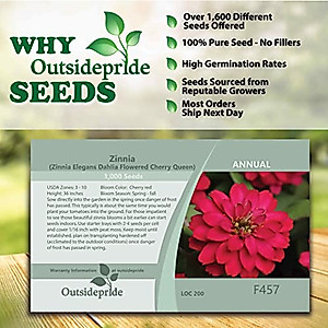 Outsidepride Zinnia Elegans Dahlia Cherry Heat & Drought Tolerant Garden Cut Flowers - 1000 Seeds