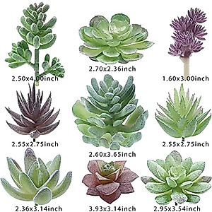 miltonson Artificial Succulent Plants - 18 Pack - Premium Fake Plants - Double Flocked Succulents - Realistic Textured Cactus - Face Succulent Plants - Mini Faux Succulents - Face Plant Decor