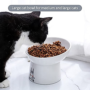 6.5 Inch Extra Wide Ceramic Raised Cat Bowl Set, Tilted Elevated Cat Bowls for Food and Water, Anti Whisker Fatigue, Stress Free, Anti Vomiting, Protect Spine, Lead & Cadmium Free, White & Grey