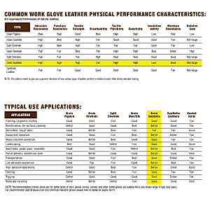 Wells Lamont Women's Warm HydraHyde Water-Resistant Grain Leather Winter Gloves, Tan, Medium (1085M)