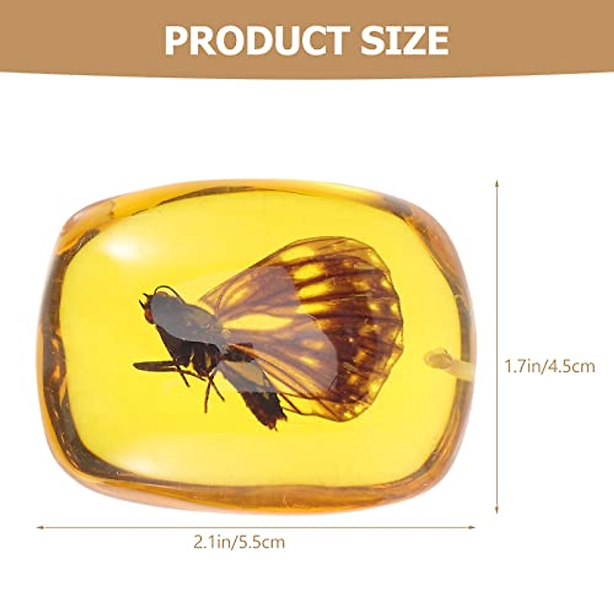 DECHOUS Charm Bracelet Amber Specimen 5pcs Baltic Amber Pendant Amber Specimen Resin Crafts Collection for Jewelry Making Necklace Bracelets Home Decorations Charm Bracelet