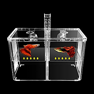 XEOGUIYA Acrylic Aquarium Breeder Box Hang on Back, Isolation Hatchery Feeding Boxes for Small Fish Fry Hatchery