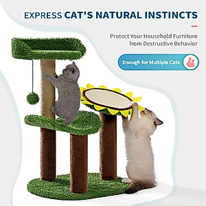 Made4Pets Cactus Cat Tree, Green Cat Tower with Plush Perch for Small Indoor Kittens, Cat Scratcher with 2 Levels Platform for Kitty, Sunflower Scratching Pad and Sisal Post