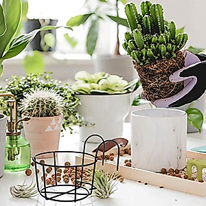 12 Pcs Hanging Railing Planters 6 Inch Flower Pot Holders Black Potted Stand Railing Planter Iron Rack Balcony Planter Basket Small Shelf Container for Indoor Outdoor Balcony Fence Garden Flower Pot