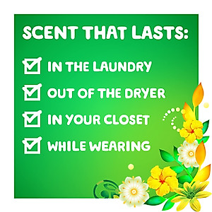 Gain 55867 Liquid Laundry Detergent, 100 Oz