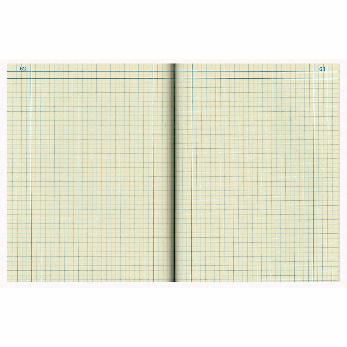 National Brand Computation Notebook, 4 X 4 Quad, Brown, Green Paper, 11.75 x 9.25 Inches, 75 Sheets (43648)
