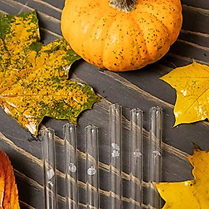 HALM Glass Straws - Autumn Edition - 6 Reusable Drinking Straws With Engraved Autumn Icons 20cm (8 in) - Leafs, Umbrella, Apple, Teacup, Kite, Pumpkin - Made in Germany - Dishwasher Safe