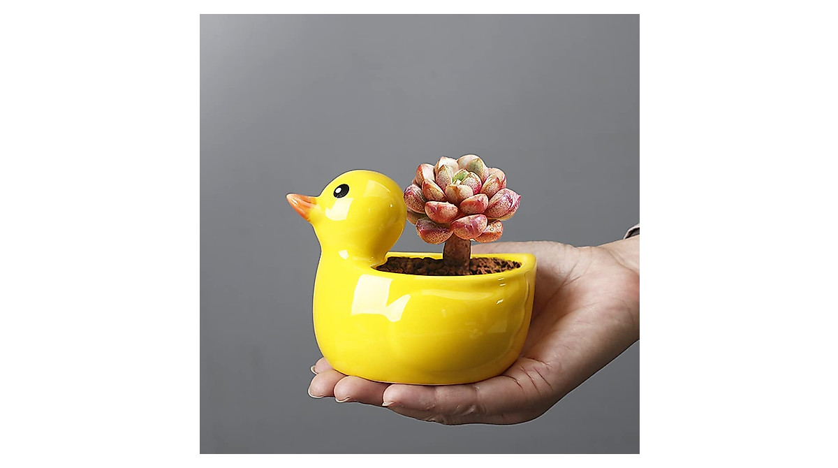 Gemseek Cute Duck Succulent Planter - Perfect for Indoor Plants