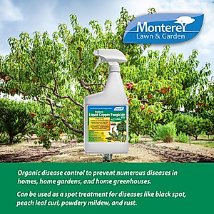 Monterey Liquid Copper Fungicide RTU - Organic Gardening Fungicide for Flowers, Fruits, & Vegetables - 32 oz