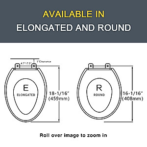 ZMJH Bidet Toilet Seat, Electric Smart Heated Seat with Slow Closes, Vortex Wash, Warm Dryer, Rear and Front Wash, Warm Water, Remote Control, and Night Light, White, A102S-W (Elongated)