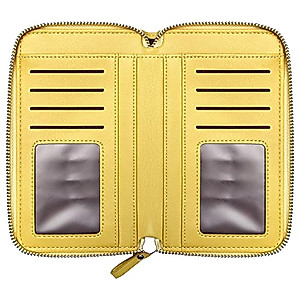 OIDERY Small Crossbody Phone Bags Cellphone Wallet Purse for Women with Credit Card Slots