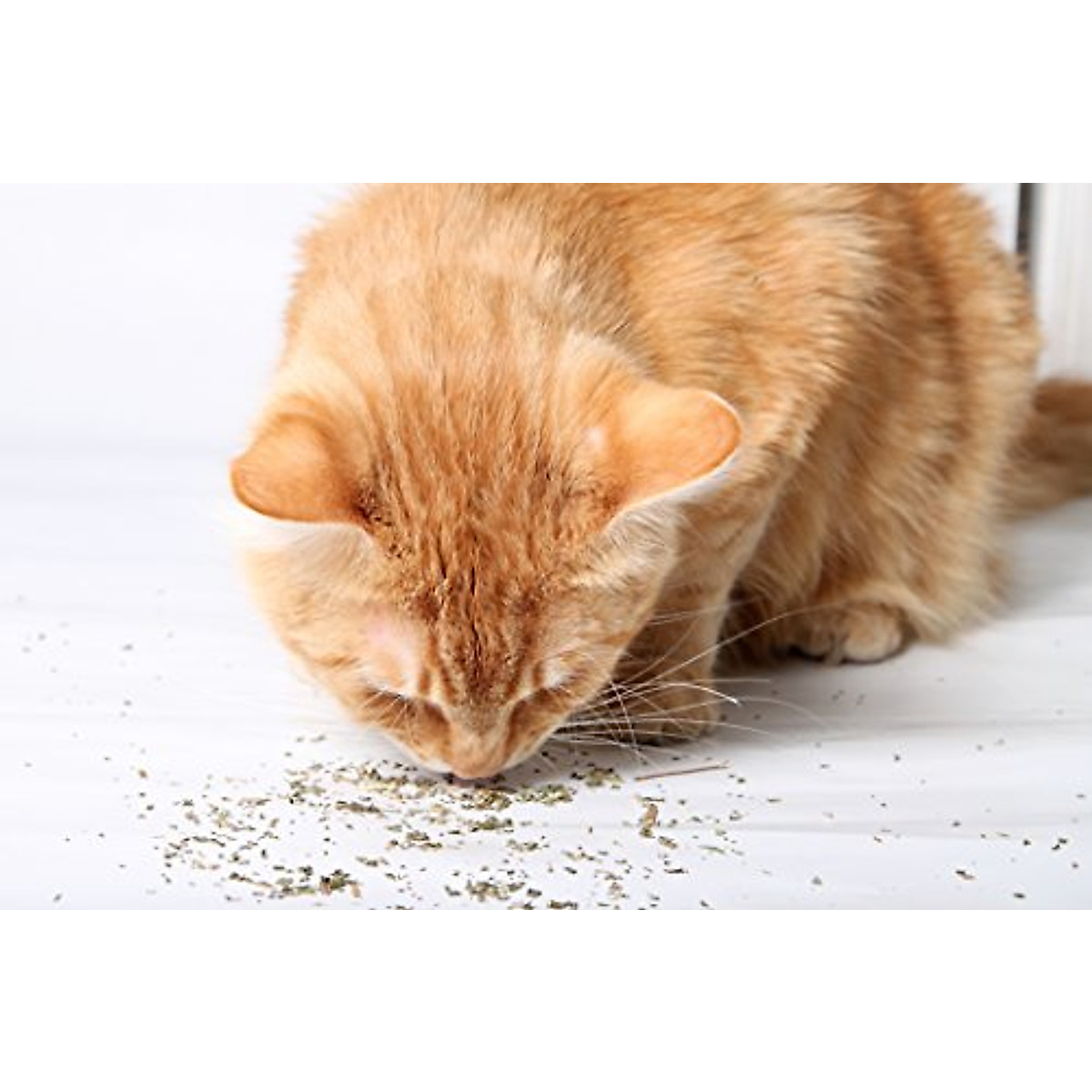 Organic Catnip by Cat Kush, Safe Premium Blend Perfect for Cats, Instilled with Maximized Potency your Kitty is Guaranteed to Go Crazy for! (1 Cup)