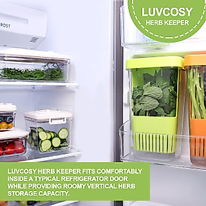 LUVCOSY 2 Pack Herb Keeper, BPA-Free Plastic Herb Saver with an Inner Basket for Cilantro, Mint, Parsley, and Asparagus, Keeps Fresh Herbs for 3 Times Longer