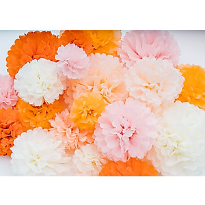 PapaKit Party Tissue Pom Pom Paper Flower Set, for Birthday Party Baby Shower Wedding Engagement Bachelorette Event Decoration ( Bright Orange Bloom, 20 Piece Set)