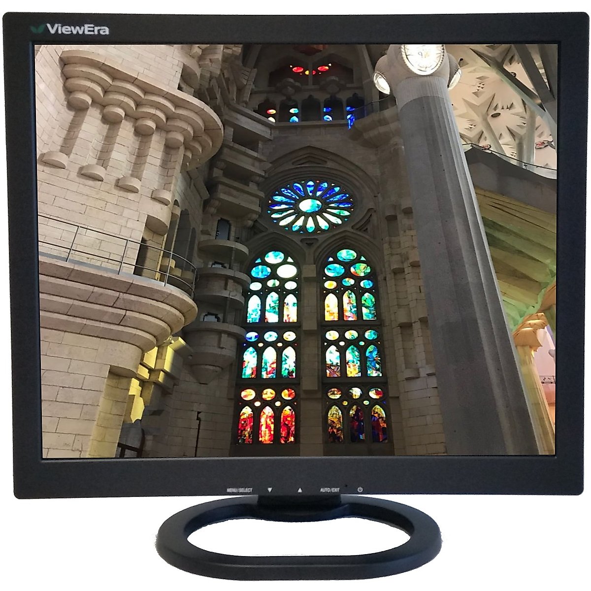 ViewEra V172SV2-B TFT LCD Gaming Monitor 17" Screen Size, VGA, Composite (RCA) Video, S-Video, Resolution 1280 x 1024, Brightness 250 cd/m2, Contrast Ratio 1000:1, Response Time 5ms, Built-in Speaker