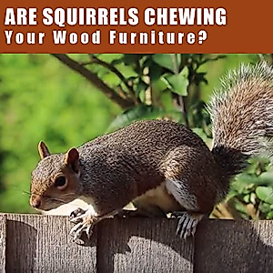 SEEKBIT 10 Pack Squirrel Repellent | Chipmunk Rodent Mice Repellent | Yard, Outdoor, Indoor, Attic, Garden Squirrels Deterrent | Car Engines Under Hood Animal Repeller | Waterproof Long Lasting, Bags