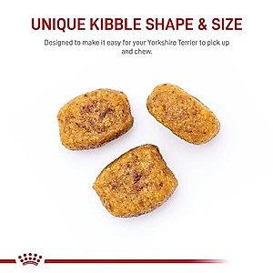 Royal Canin Yorkshire Terrier Adult Dry Dog Food, 2.5 lb bag