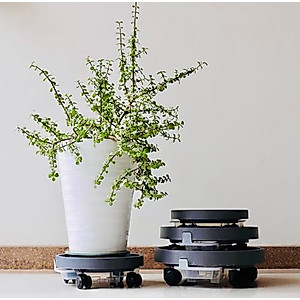 Two Pack HuaBoShi Plant Caddy Stand with Wheels Heavy Duty with Built-in Bottom Ventilation Design and Water Tray Bear Weight up to 160 LB (13” in Diameter)