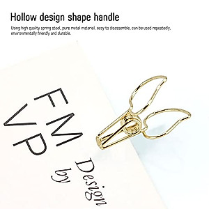 Clothes Drying Clip, 20Pcs Multifunctional Strong Hollow Spring Clip Clothes Pins for Outdoor Clothesline Home Kitchen Travel Office Decor(Gold)