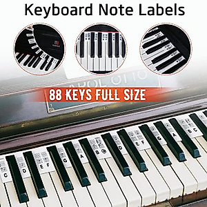 BMESSE The Alternative To Messy Piano Keyboard Stickers,No Glue,Easy Integral Installation With a Case (61)