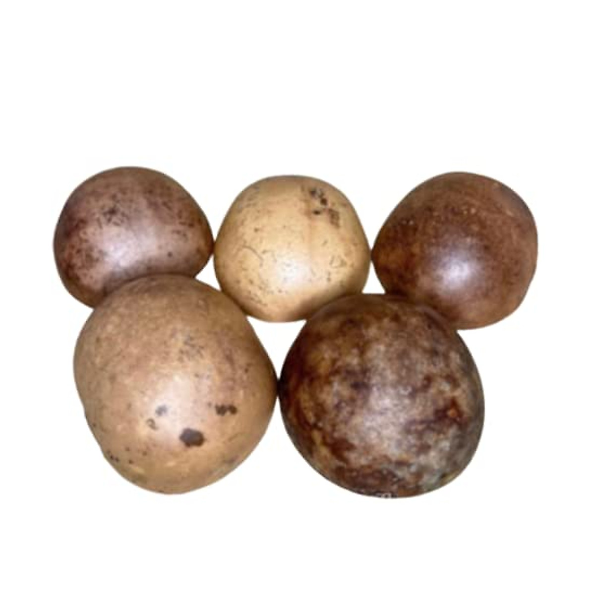 Jícara de Santería Auténtica para Ofrendas y Ritualidades Sagrados