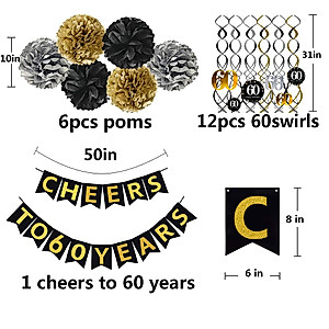 60th Birthday Party Decorations KIT - Cheers to 60 Years Banner, Sparkling Celebration 60 Hanging Swirls, Poms, Perfect 60 Years Old Party Supplies 60th Birthday Decorations