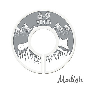 Modish Labels Baby Clothes Size Dividers, Baby Closet Organizers, Closet Size Dividers, Baby Closet Organizers, Clothes Organizer, Neutral, Boy, Girl, Woodland Animals, Tribal, Nordic (Gray)