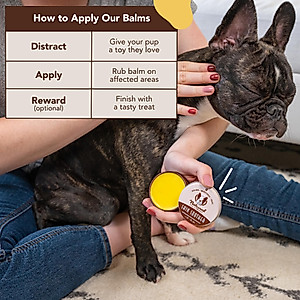 Natural Dog Company Skin Soother, 2 oz. Tin, Allergy and Itch Relief for Dogs, Dog Moisturizer for Dry Skin, Dog Lotion, Ultimate Healing Balm, Dog Rash Cream