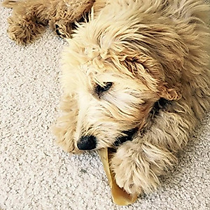 Pawstruck Natural Cow Hooves for Dogs (10 Pack) - Made in The USA Bulk Dog Dental Treats & Dog Chews Beef Hoof, American Made