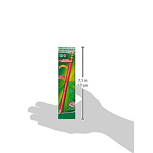 Ticonderoga Erasable Checking Pencils with Eraser, Pre-sharpened, Red, 12-Pack (14259)