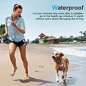 Adorve Airtag Holder, Waterproof Airtag Keychain, Apple Air Tag Case, 6 Pack Protective Airrtag Tracker Case with Key Ring for Dog Collar, Luggage, Keys, Kids, Clear/Pink/Purple/Blue/Gray/Pine Green