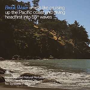 Bathing Culture - Organic Kelp Forest Shampoo | Natural, Biodegradable, Sustainable, Vegan Personal Care (8 fl oz | 237 ml)