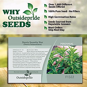 Outsidepride Perennial Stevia Sweetie Star Natural Herb Garden Plant Sugar Substitute & Sweetener Alternative - 50 Seeds