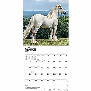 Horse Lovers 2022 12 x 12 Inch Monthly Square Wall Calendar with Foil Stamped Cover, Animals Equestrian