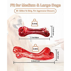 GEE BON 2 Pack Indestructible Dog Toys for Aggressive Chewers - Tough Dog Chew Toys for Aggressive Chewers Large Breed, Nylon Durable Dog Chew Bones with Bacon & Beef Flavor for Medium and Large Dogs