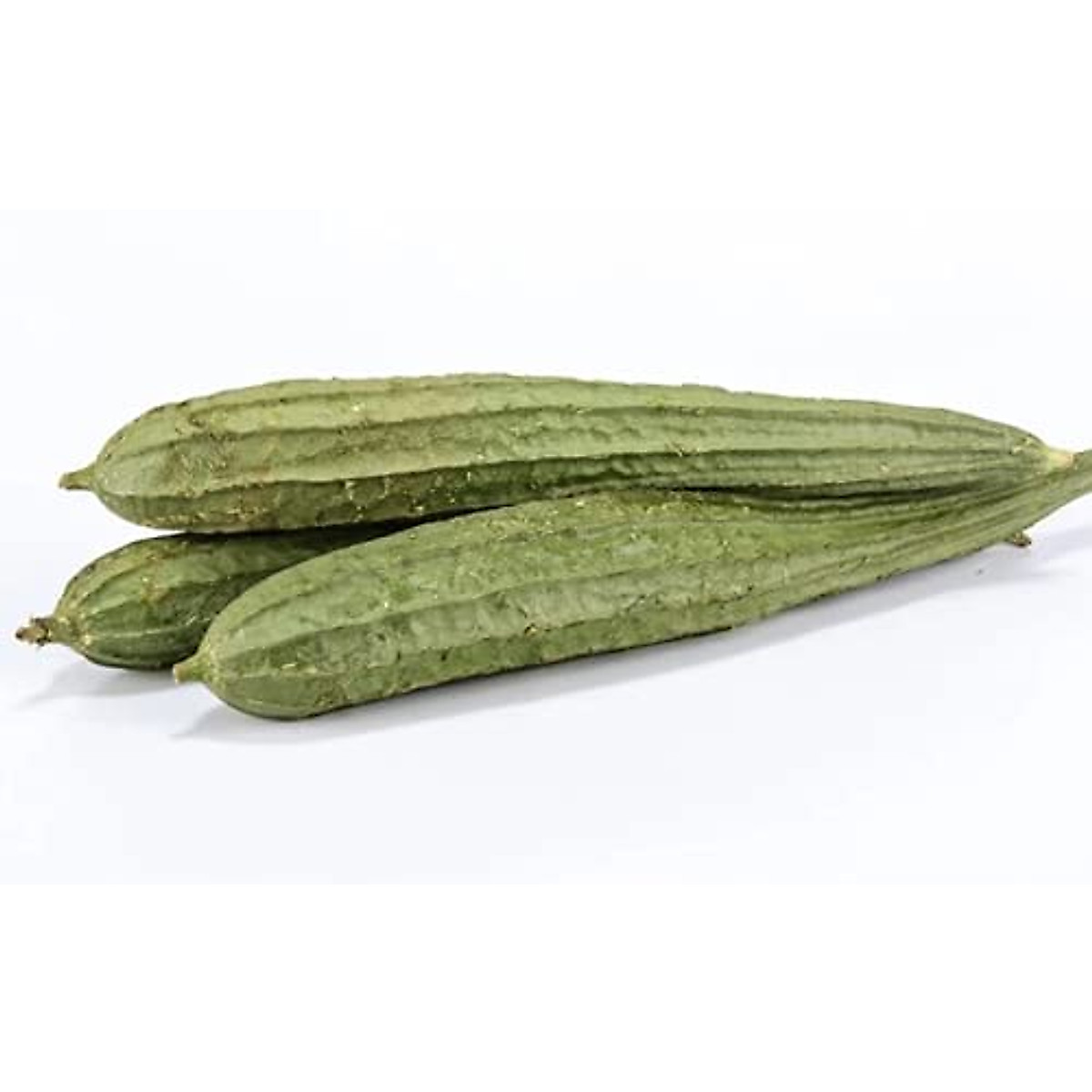 Gaea's Blessing Seeds - Luffa Gourd Seeds (3.0g) - Bonanza Heirloom - Non-GMO Seeds with Easy to Follow Planting Instructions - Heirloom Sponge Ridged Loofah Muop Huong 94% Germination Rate