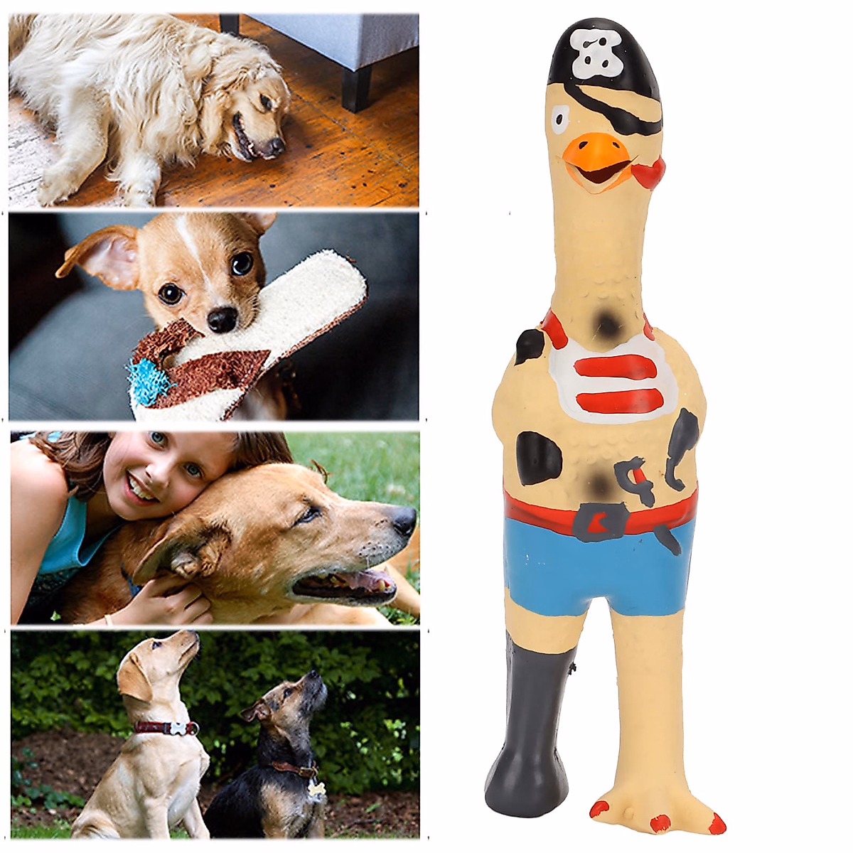 Pirate Chicken Screaming Dog Toy - Interactive Fun for Dogs & Pets - Halloween Favors