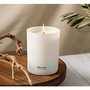 Westin White Tea Candle - Hand-Poured, Soy Candle with Signature White Tea Scent -12.5 oz.
