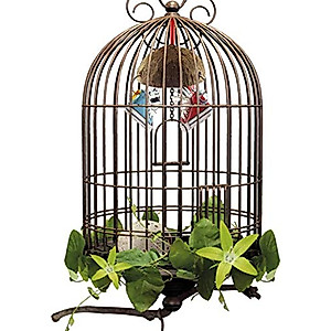 Bird Training Toys Coco Shell with Mini Sneaker Ring Chew Toy, Parrot Cage Hanging Toys for African Grey ,Cockatoo,Macaw