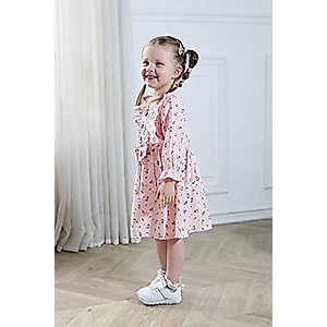Toddler Girl Dress Fall Winter Clothing Kids Long Sleeve Ruffle Skirt Outfits Floral Dresses (Pink, 2-3T)