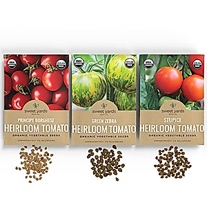 Organic Heirloom Tomato Seeds Variety Pack - 9 Seed Packets: Brandywine, Roma, Green Zebra, Pineapple, Chadwick Cherry, Black Krim and More