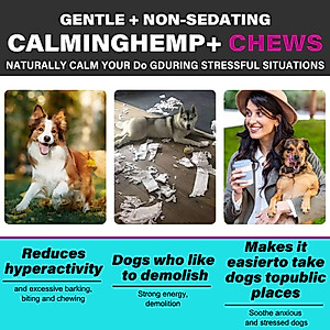 YEUGSCKA Dog Calming Treats Beef Flavor (110PCS), Helps Dog Anxiety & Stress Relief,Aid with Separation,Barking,Stress Relief, Hyperactivity,Aggression, Reactivity for All Breeds,Ages & Sizes Dogs