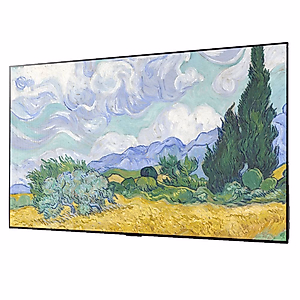 LG OLED65G1PUA 65 Inch OLED evo Gallery TV Bundle with Premium 2 YR CPS Enhanced Protection Pack
