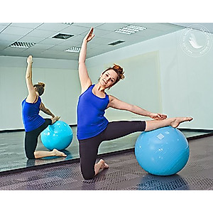 Fab Glass and Mirror GM48x60 HD Tempered Glass Wall Mount Mirror for Gym & Dance Studio, 48" x 60", Clear