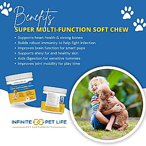 Super Multi-Vitamin Chew with Ashwagandha. Multivitamin for Joint, Skin, Gut, Brain, Bone, Heart & Immune Health - All Natural Ashwagandha, Curcumin, Pumpkin Powder & Vitamin C (90 Chews).