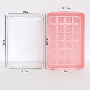 Cabilock Plant Propagation Tray Germination Dome sprouter Container Bean Sprouting Tray Germination Station Plant Starter Tray Sprouter Tray with Lid Growing Trays Pot Flat Ground