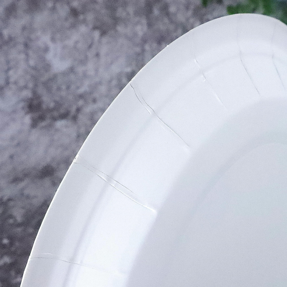 Pandecor 50 Pieces 7 Inches Disposable Paper Plates,Cakes Dessert Salad Pizza Holographic Rainbow Silver Round Plates Birthday Party Decorations Wedding Anniversary Christmas (Holographic)