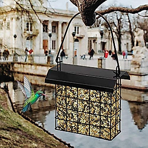 FORUP Suet Bird Feeder, Hanging Suet Feeder, Single Suet Cake Bird Feeder, One Suet Capacity