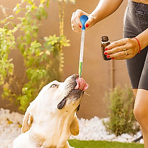 10 ml Glass Pipettes Dropper Glass Graduated Dropper Pipettes with Rubber Caps, Lab Glass Transfer Pipette Transfer Pipettes for Essential Oil(3 Packs)