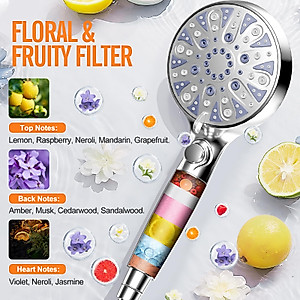 High Pressure 10-mode Detachable Shower Head & Fragrant Vitamin Replacement Shower Filter